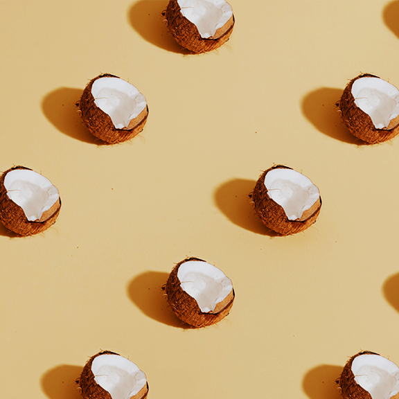 Coco meet & greet - SwissFoundations